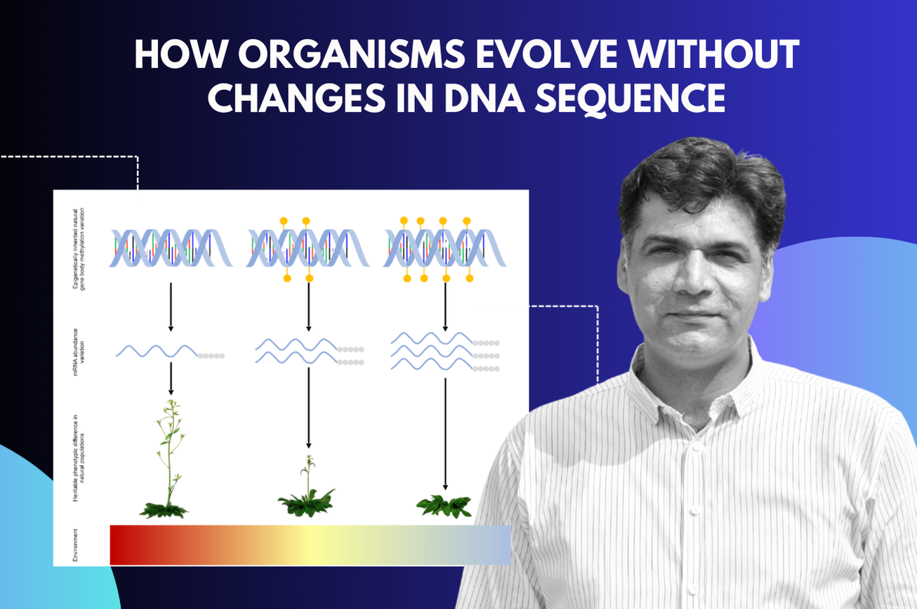 How Organisms Evolve without Changes in DNA Sequence | SBASSE